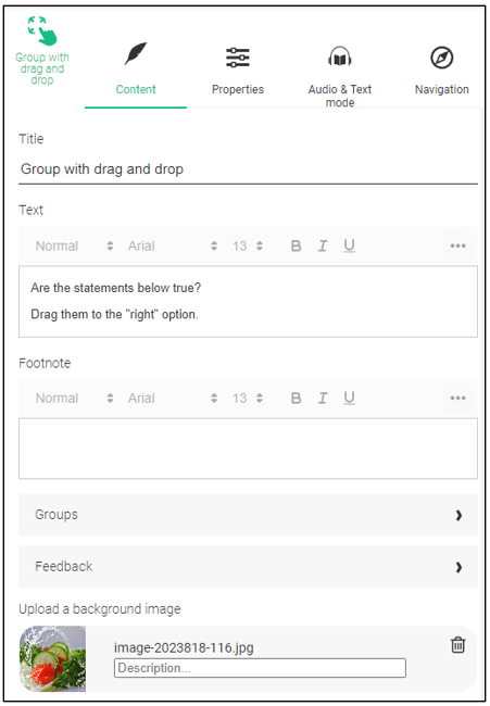 The "Group with drag and drop" template – Learnify