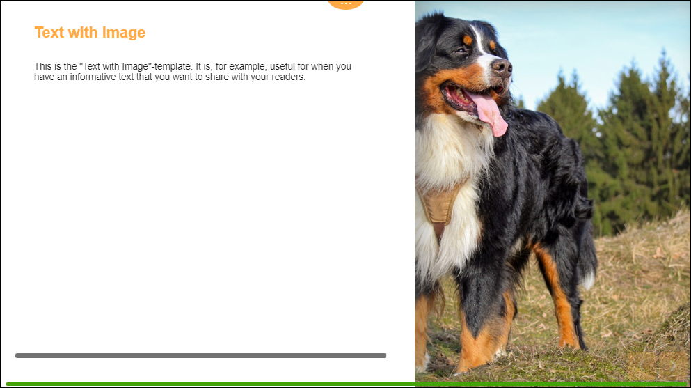 The "Text with Image" Template – Learnify