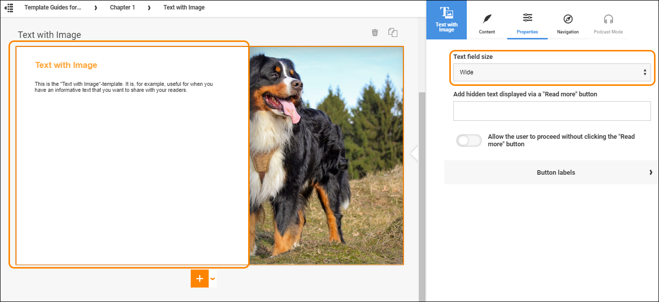 The "Text with Image" Template – Learnify