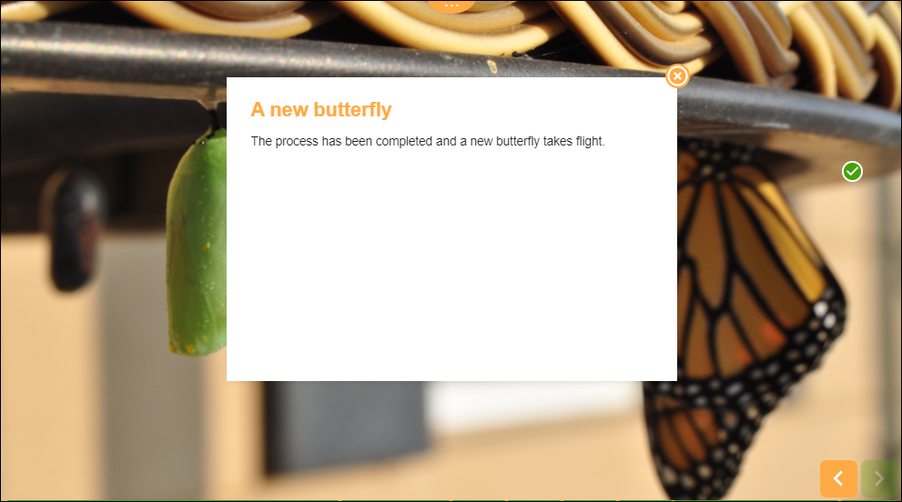 The "Explore Image" Template – Learnify